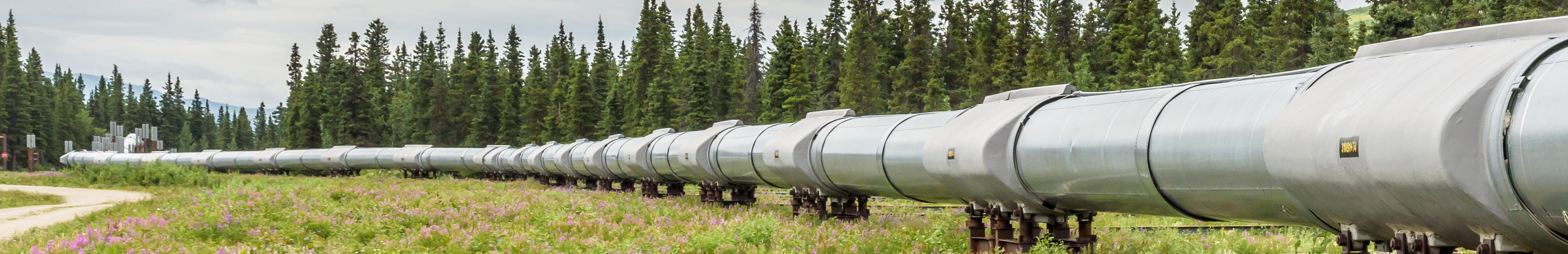 TDLAS in the Natural Gas Value Chain (Part Two) | AMETEK PI